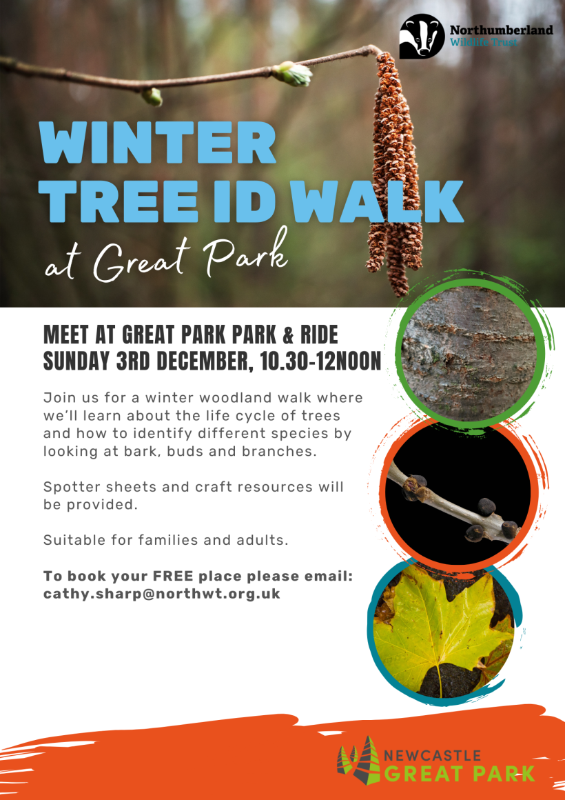 Winter Tree ID Walk @ Great Park - 3rd Dec - Newcastle Great Park