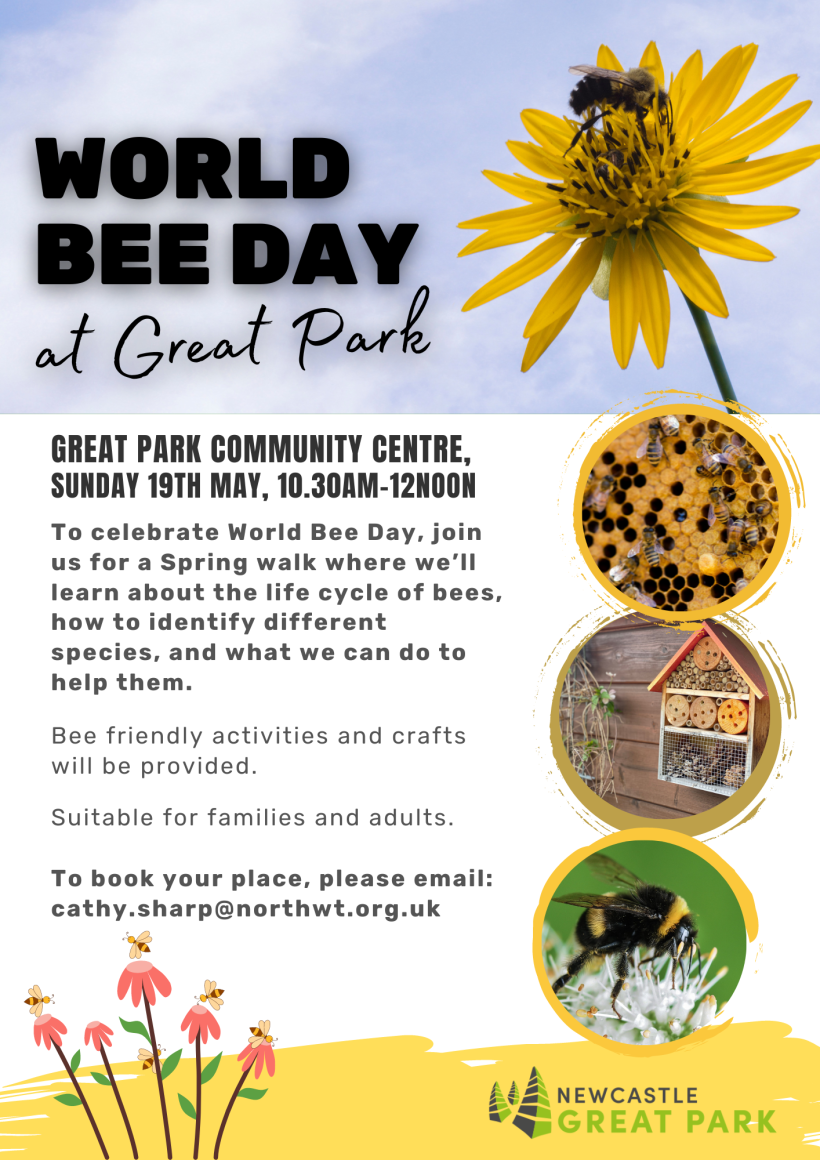World Bee Day - 19th May - Newcastle Great Park