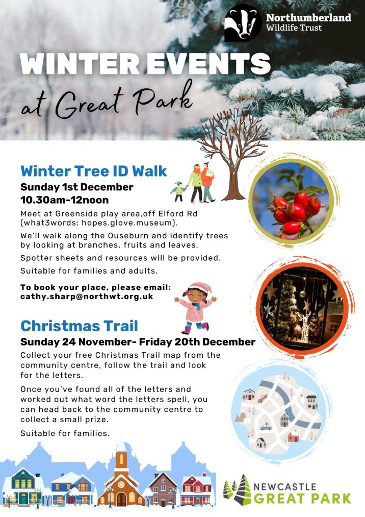 Winter Events at Great Park - Newcastle Great Park