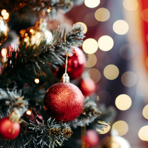 Winter Events at Great Park - Newcastle Great Park